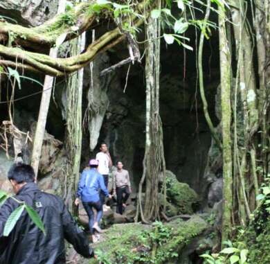 Discover Bukit Lawang: Bat Cave & Landak River Adventure - Sumatra ...