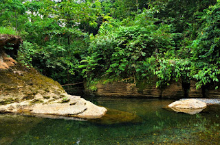 Discover Bukit Lawang: Bat Cave & Landak River Adventure - Sumatra ...