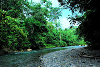 Discover Bukit Lawang: Bat Cave & Landak River Adventure - Sumatra ...