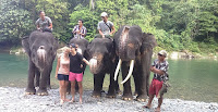 Explore Bukit Lawang's Tangkahan - A Hidden Paradise - Sumatra Jungle Tours